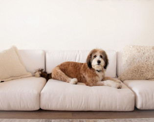 Loop Studios | - Venue Report