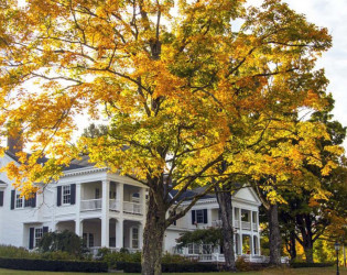 The White House Inn | - Venue Report