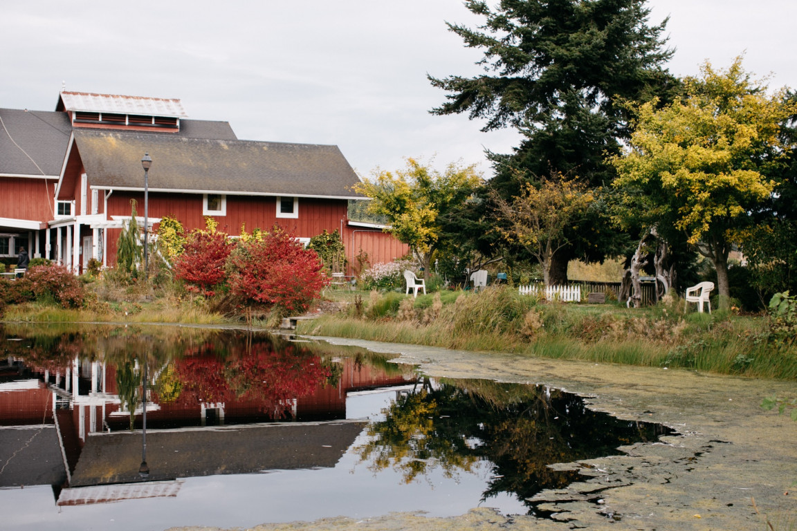 Greenbank Farm | Greenbank, Washington, United States - Venue Report