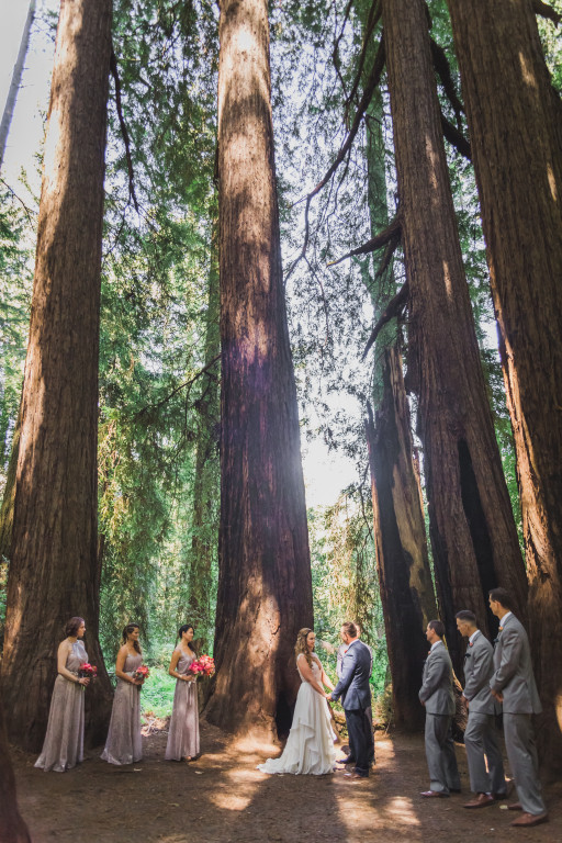 Roaring Camp | Felton, California, United States - Venue Report