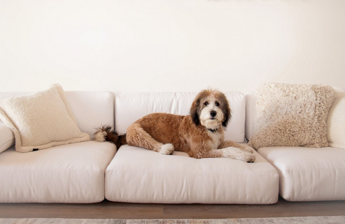 Loop Studios | - Venue Report