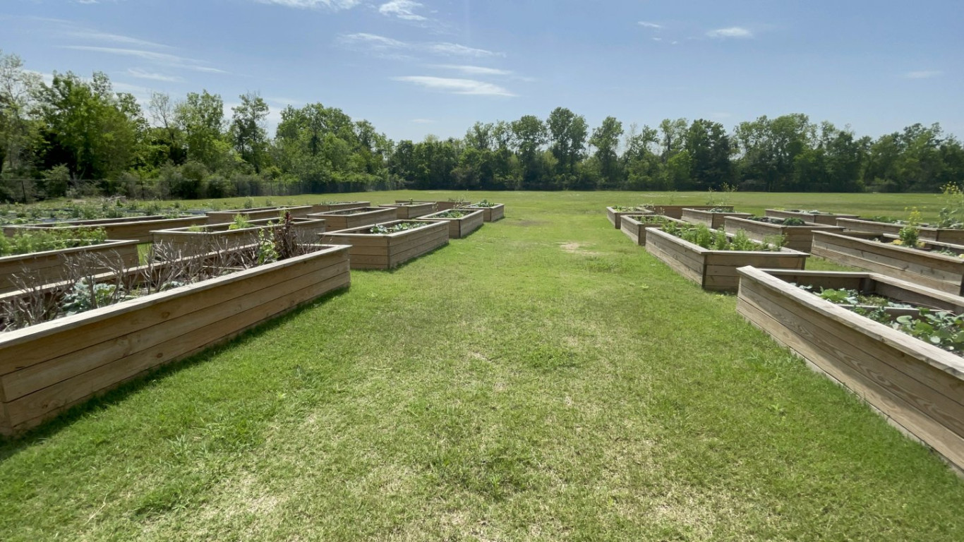 Community Collective for Houston | Central Southwest, Houston, Texas ...