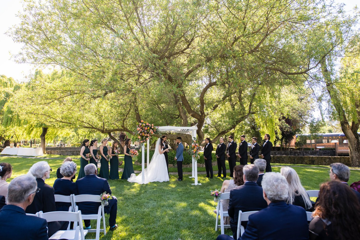 Cline Family Cellars | Sonoma, California, United States - Venue Report