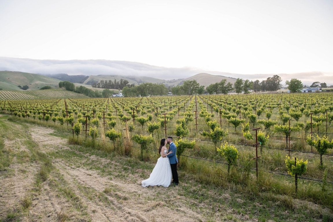 Cline Family Cellars | Sonoma, California, United States - Venue Report