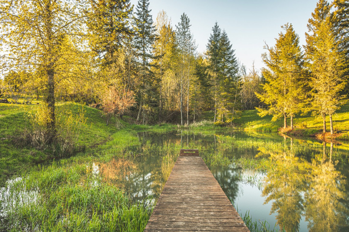 Highland Fields | - Venue Report