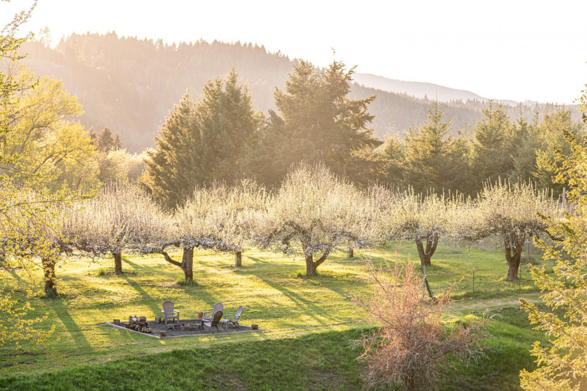 Highland Fields | - Venue Report