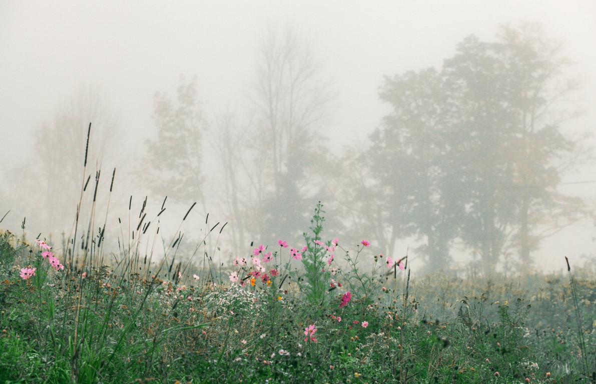 Bellfire in the Catskills | Roxbury, New York, United States - Venue Report