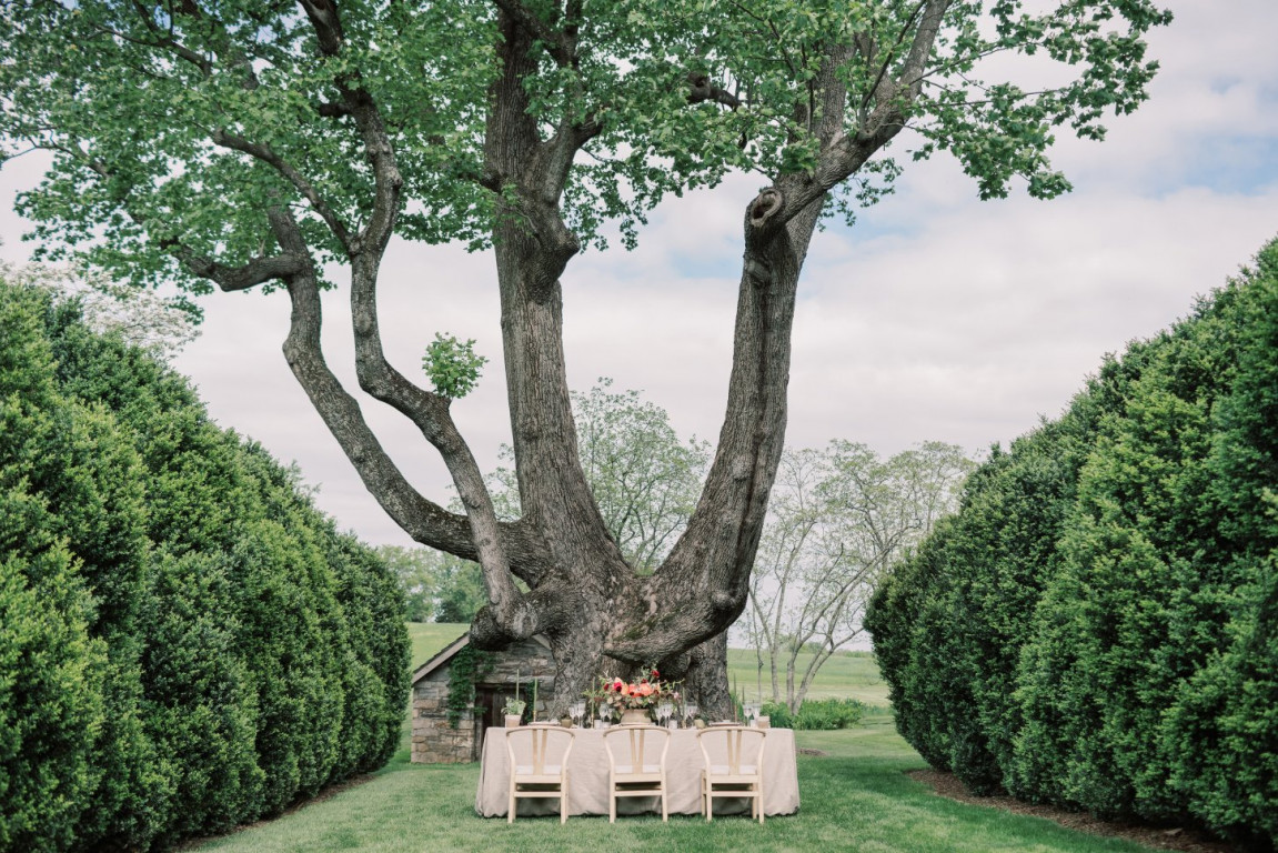 Glenstone Gardens | - Venue Report